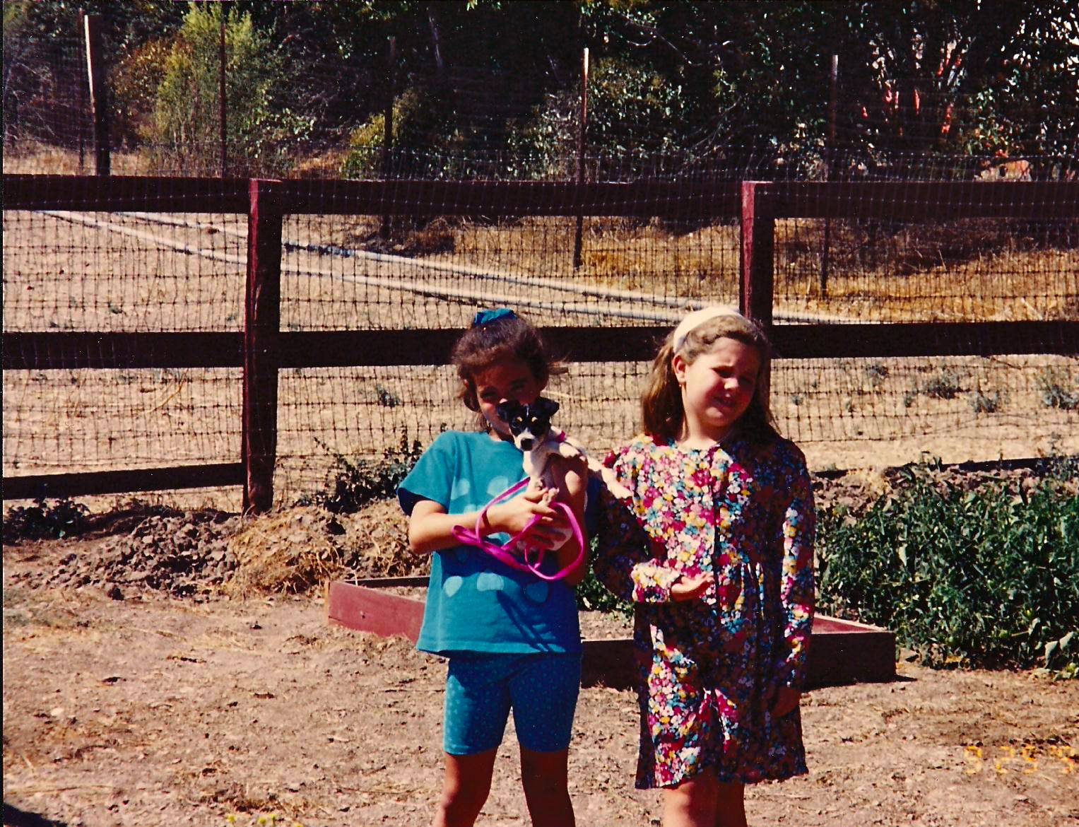 Pacific Bird | Page 5