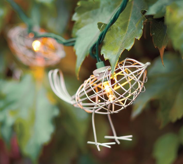 Pacific Bird | Page 7